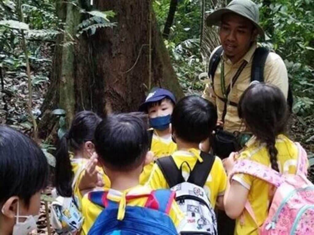 Technical and Vocational Education and Training (TYET) | YEC